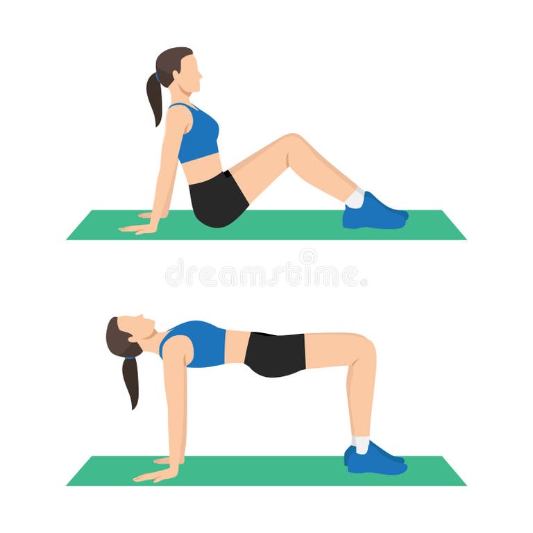 Reverse Plank Bridge Exercise Stock Illustration - Illustration of ...