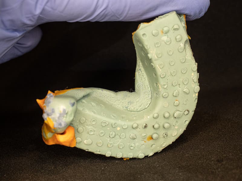 Reverse Bite Stock Photos - Free & Royalty-Free Stock Photos from ...