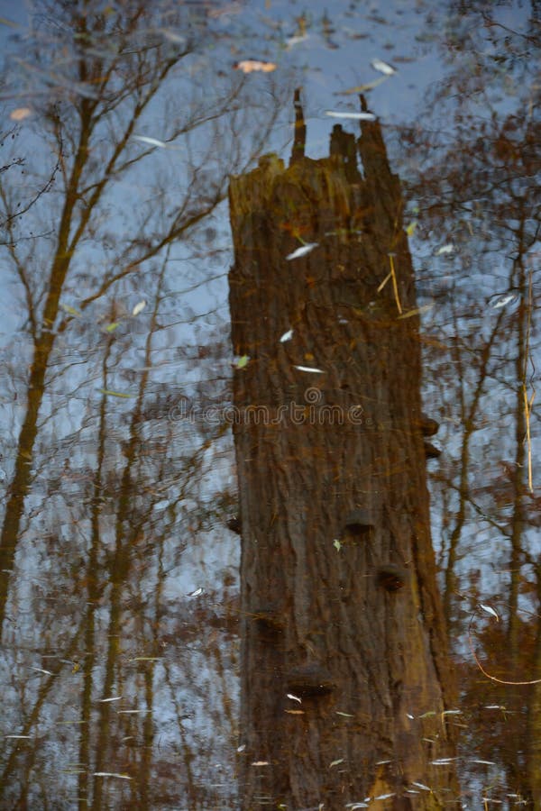 Reversed Image Concept: Plastic Cyclists on a River Stock Photo - Image ...