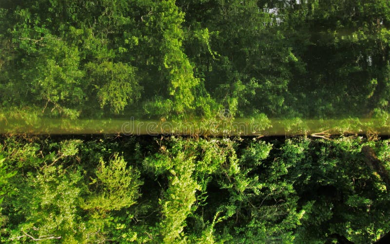 Reversed Reflection in River Stock Photo - Image of tree, grass: 96751796