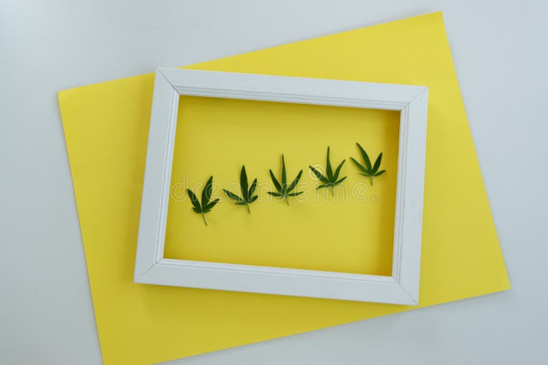 Review of Five Stars on a Frame. Feedback Concept Stock Image - Image ...