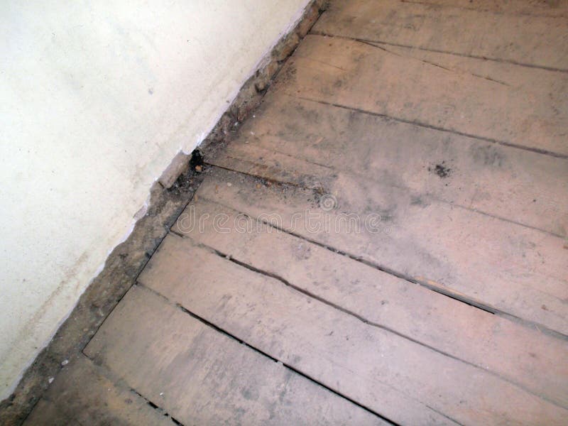 Revitalization of the Interior of a Building Stock Image - Image of ...