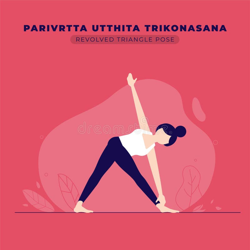 Revolved Triangle Yoga Pose Illustration Stock Vector - Illustration of ...