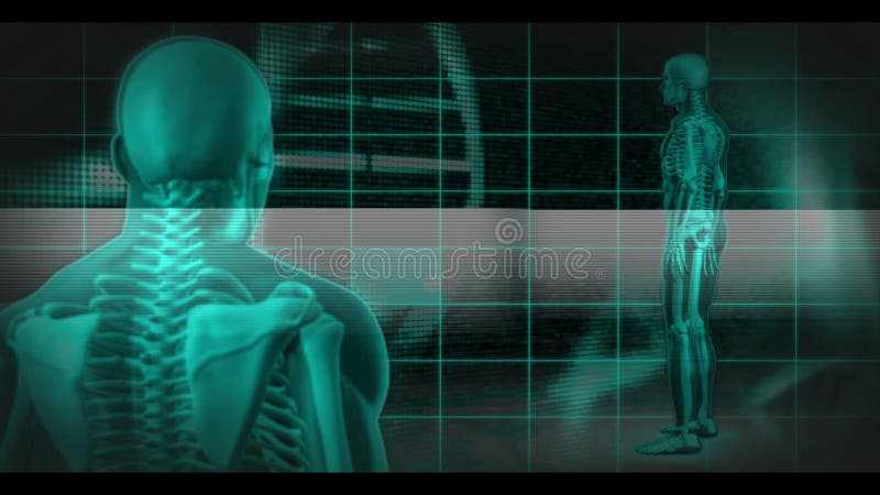 Revolving 3d Human Diagram with Moving Text and Data Stock Video ...