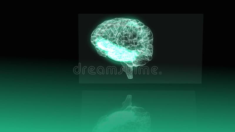 Revolving Transparent Human Brain Graphic Stock Video - Video of ...