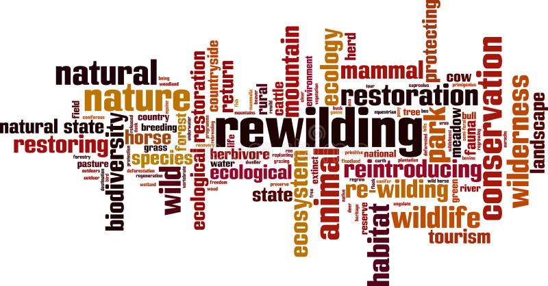 Rewilding word cloud stock vector. Illustration of reintroducing ...
