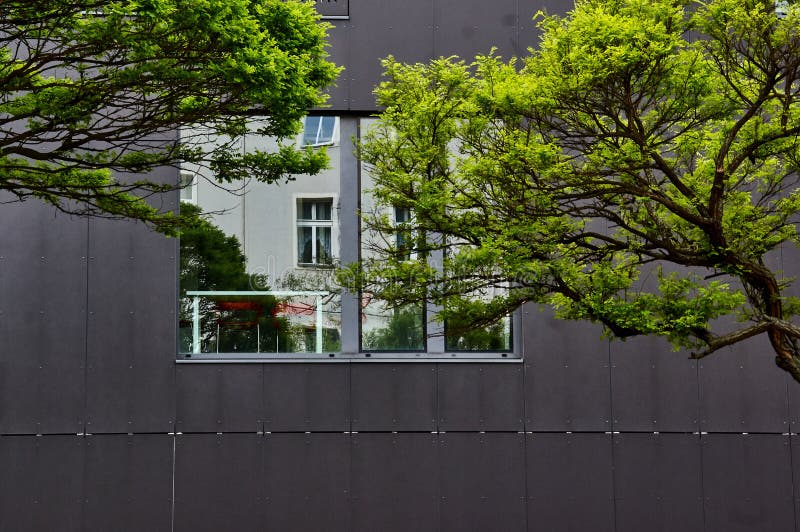 Reww abd window stock image. Image of architecture, green - 160266801