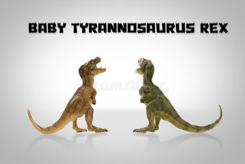 Rex Del Tiranosaurio Del Bebé Stock de ilustración - Ilustración de ...