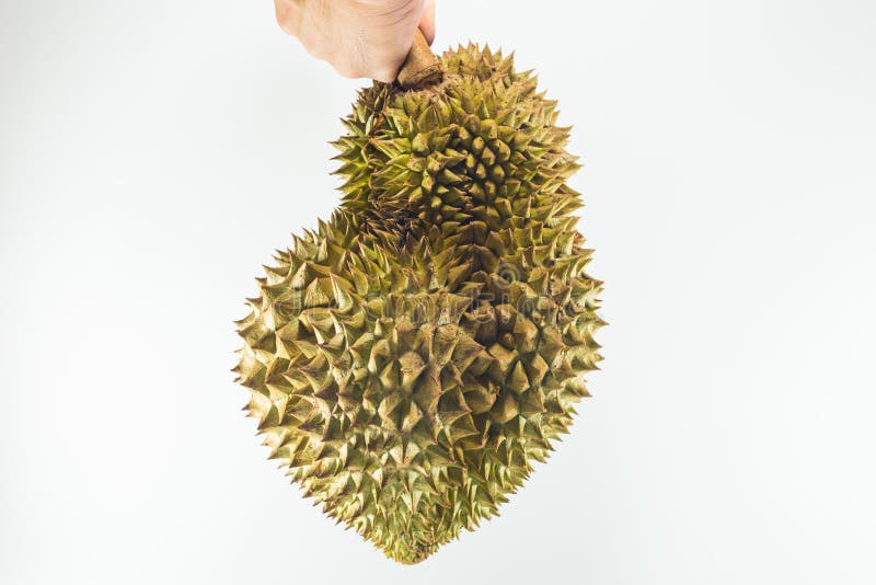Rey de frutas, durian foto de archivo. Imagen de espina - 117808908
