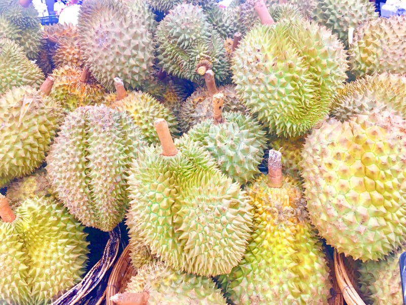 Rey De La Fruta Fruta Fresca Del Durian Rey De La Fruta Imagen de ...