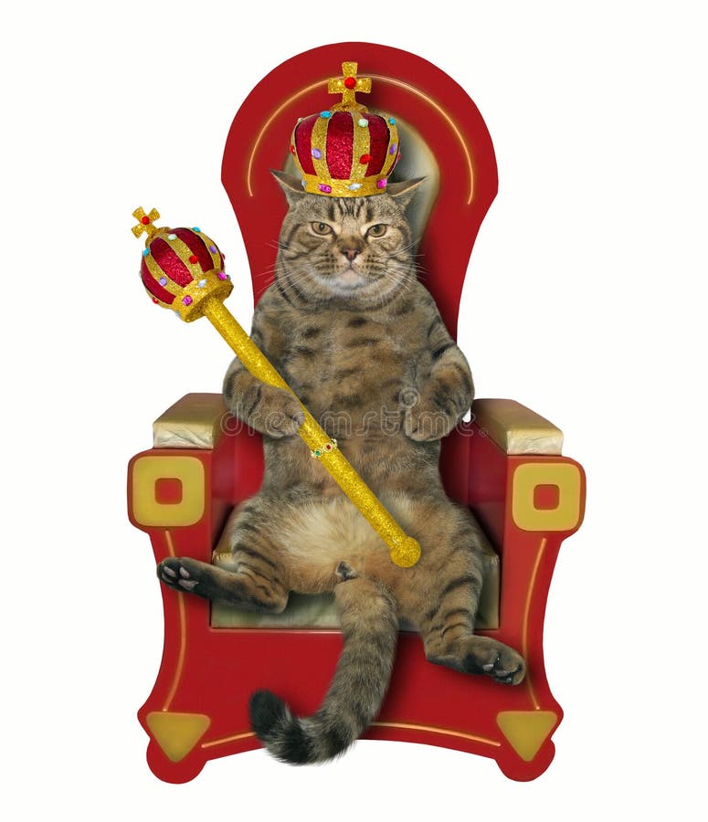 El Rey Del Gato Est? En El Trono Foto de archivo - Imagen de éxito ...