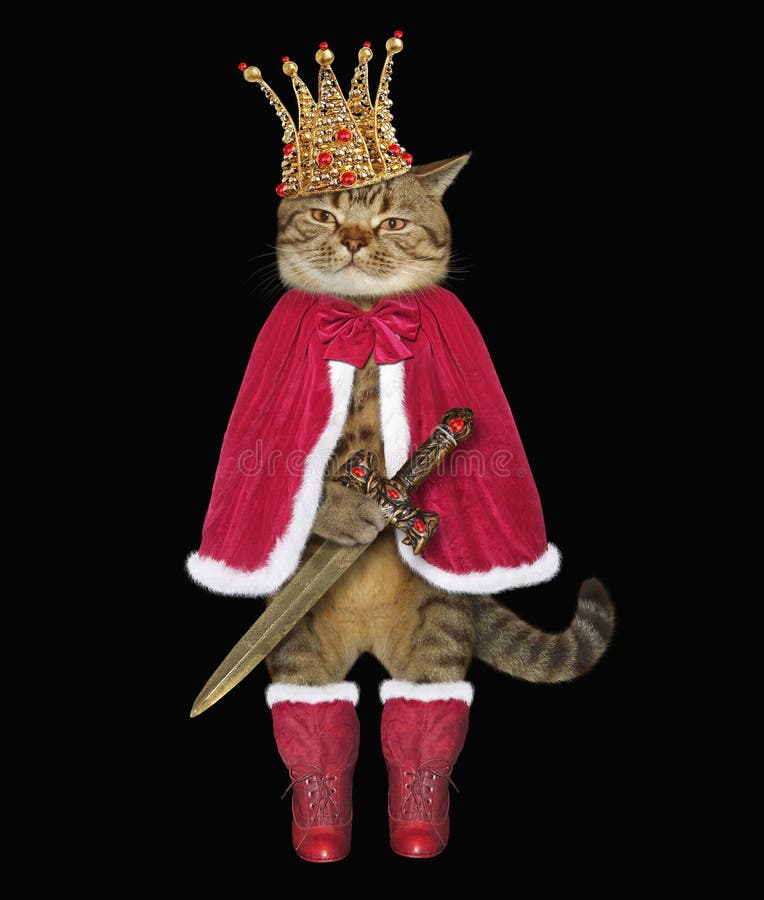 Rey del gato en la corona foto de archivo. Imagen de arqueamiento ...