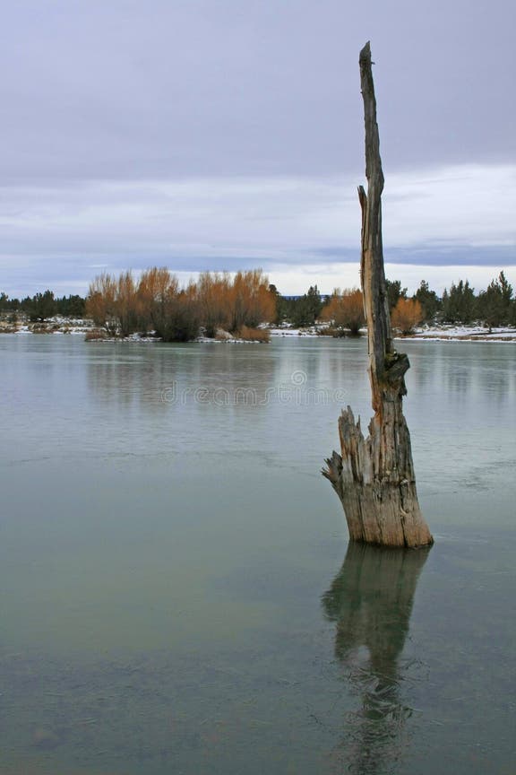 Reynolds Pond in Winter stock photo. Image of scenery - 12736680