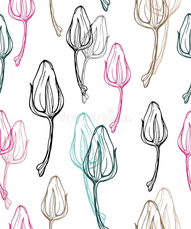 Contour Color Vector Pattern with a Floral Print on a Transparent ...