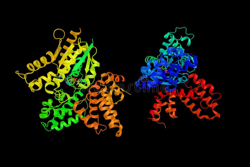 RGS1, a Protein Which Attenuates the Signalling Activity of G-proteins ...