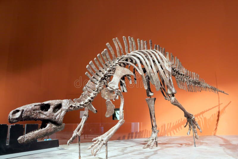 Rhabdodon Priscus foto de archivo. Imagen de espantoso - 35177984