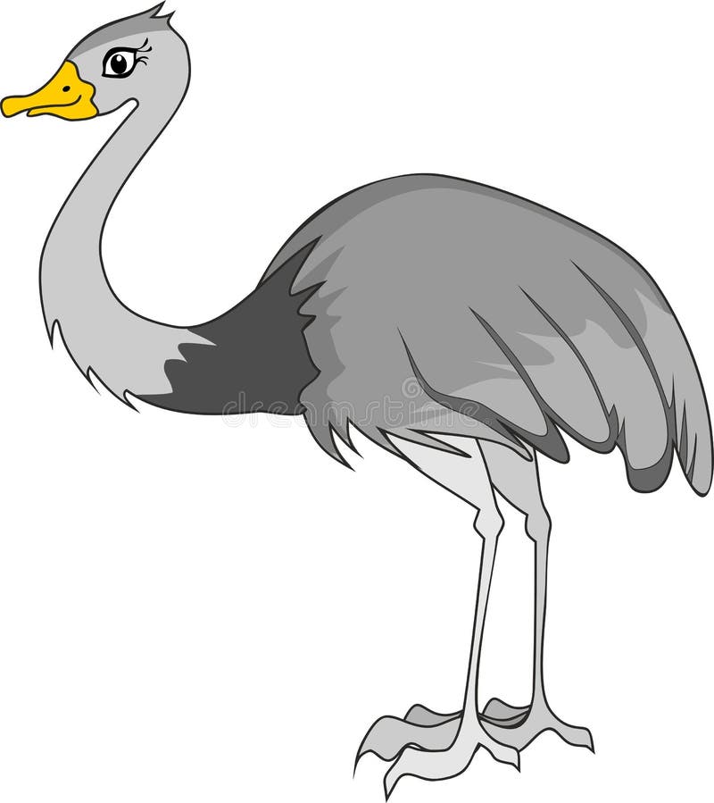 Rhea stock illustration. Illustration of beak, greater - 63568032