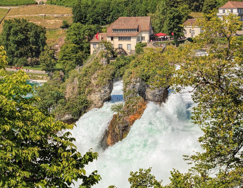 Rhine Falls in summer stock image. Image of cascade, falls - 70680797