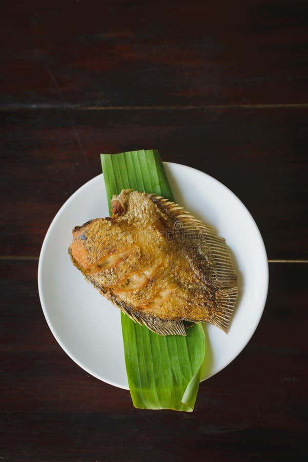 Rhino fish fried stock image. Image of dinner, healthy - 291167867