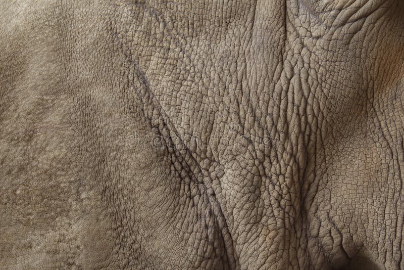 Rhino skin background stock photo. Image of wildlife - 90655588