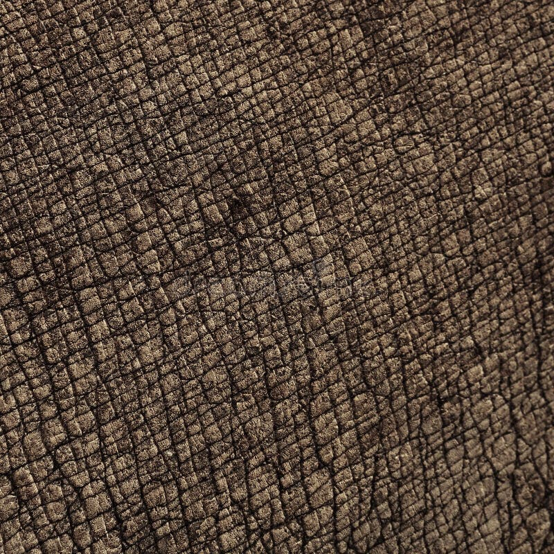 Rhino Skin for Background and Textures Stock Image - Image of nature ...