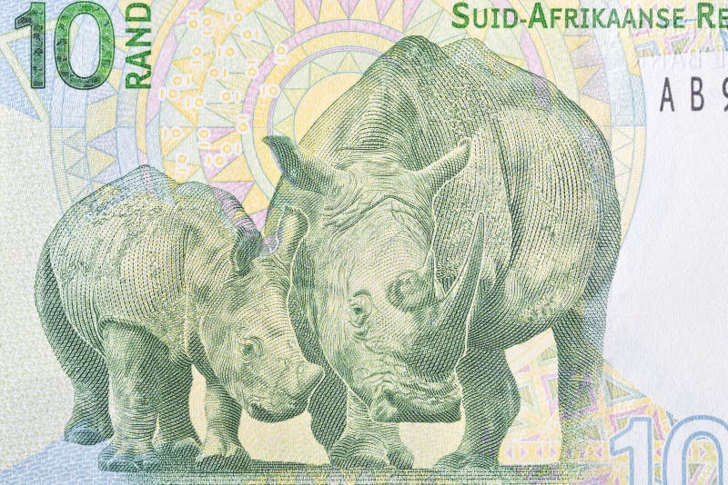 South African Money a Business Backround Stock Photo - Image of note ...