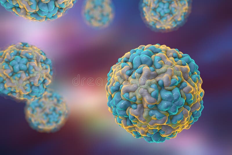 Common cold virus stock illustration. Illustration of biology - 12092181
