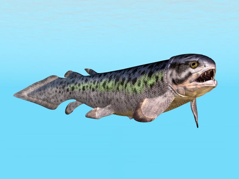 Rhizodus Fish Stock Illustrations – 35 Rhizodus Fish Stock ...