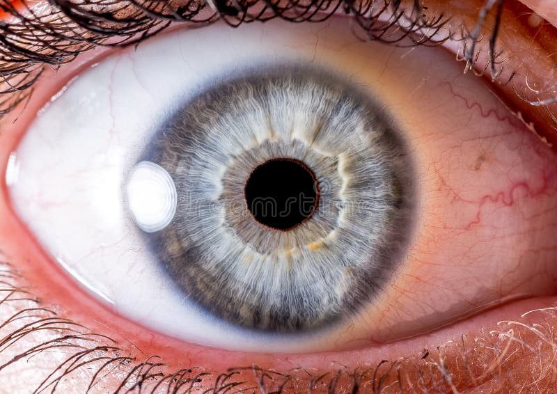 Close Up Eye. Close Up Iris. Very Close Macro Shot of an Eyeball Stock ...