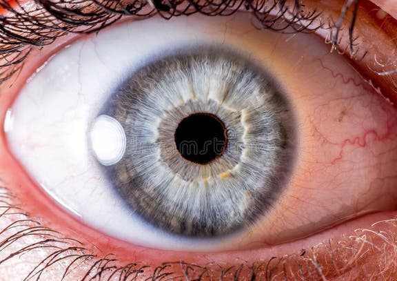 Close Up Eye. Close Up Iris. Very Close Macro Shot of an Eyeball Stock ...