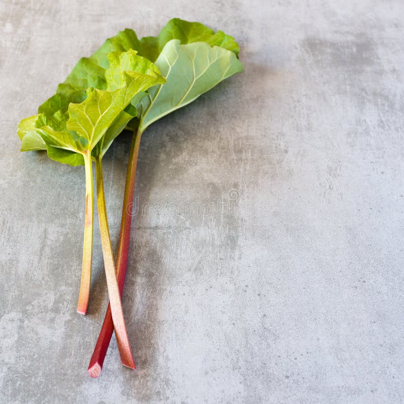 Rhubarb on a Concrete Table Stock Image - Image of lifestyle, leaves ...