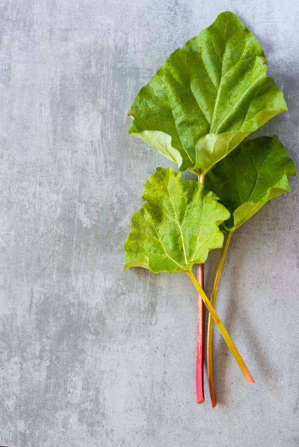 Rhubarb on a Concrete Table Stock Image - Image of space, eating: 72923057