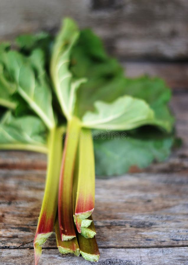 Rhubarb stock photo. Image of vegetable, fruitvegetable - 38640132