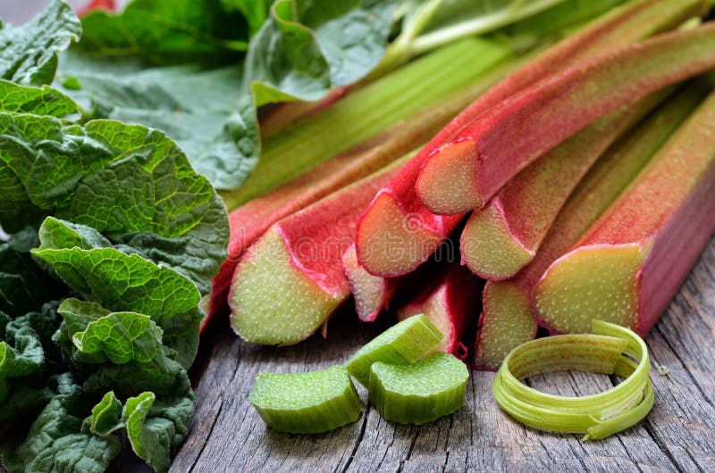Rhubarb stock image. Image of ripe, picked, fruit, leaves - 24009577