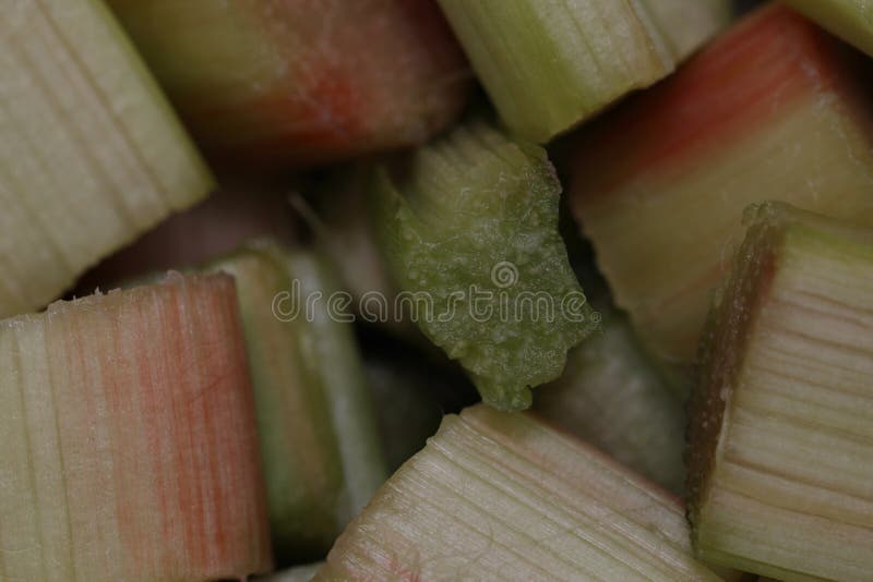 Rhubarb Freshly Cut for a Meal Stock Image - Image of dessert, healthy ...