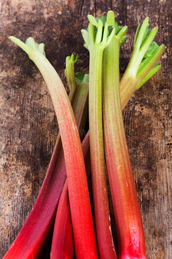 Box with rhubarb stock photo. Image of harvesting, rhubarb - 19708560
