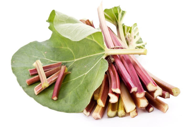 Rhubarb stalks. stock photo. Image of ingredient, healthy - 28162572