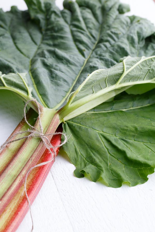Rhubarb on White Wooden Table. Stock Photo - Image of vegetable, plant ...