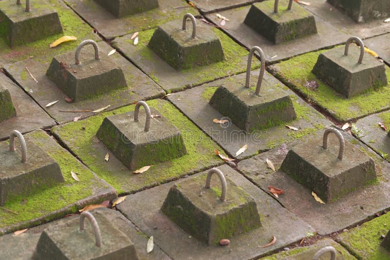 A Rhythmic Arrangement of Moss-covered Concrete Objects Weaves a ...