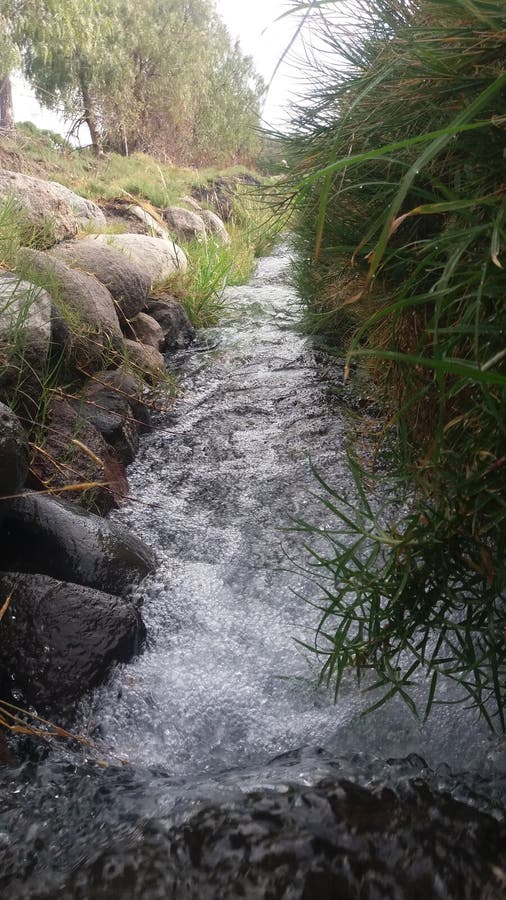 Beautiful Creek stock photo. Image of stream, riachuelo - 130221462