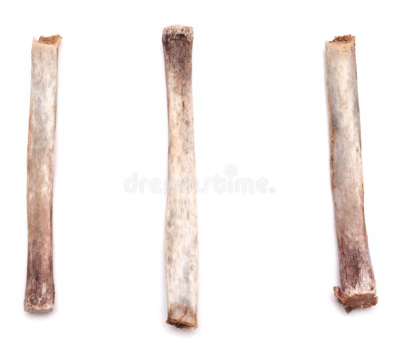 Rib bones stock photo. Image of meal, picked, heap, calcium - 114032930