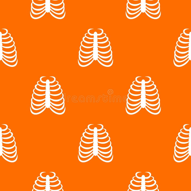 Rib cage pattern seamless stock vector. Illustration of medicine ...