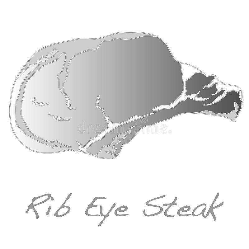 Rib Eye Steak Vector Isolated Stock Vector - Illustration of beef, lean ...