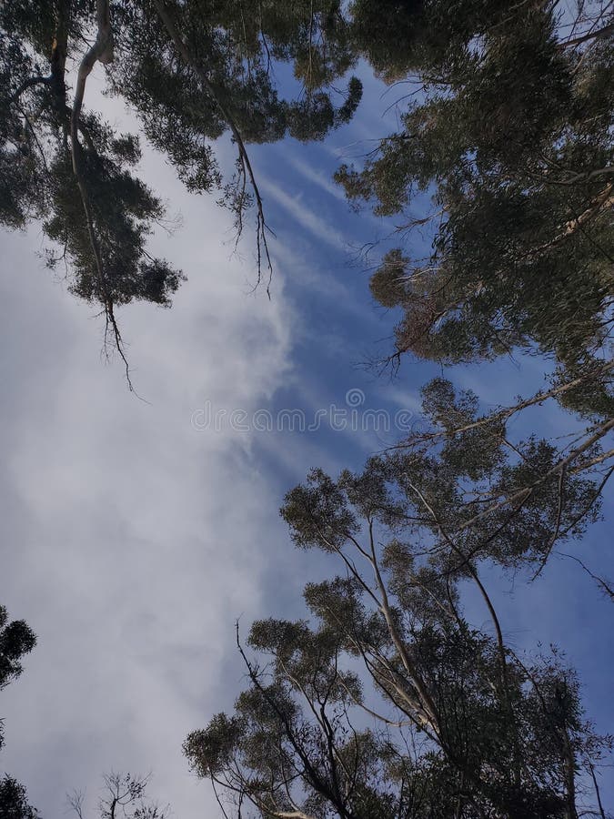 Nimbus Clouds with Light in the Sky Stock Photo - Image of fluffy, high ...