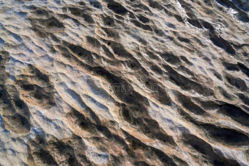 Ribbed Rock Surface Texture Stock Image - Image of prehistoric, ribbed ...