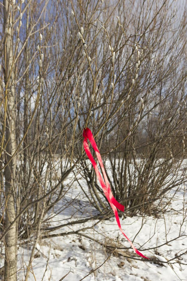 Ribbon on a branch stock image. Image of branch, accent - 38903141