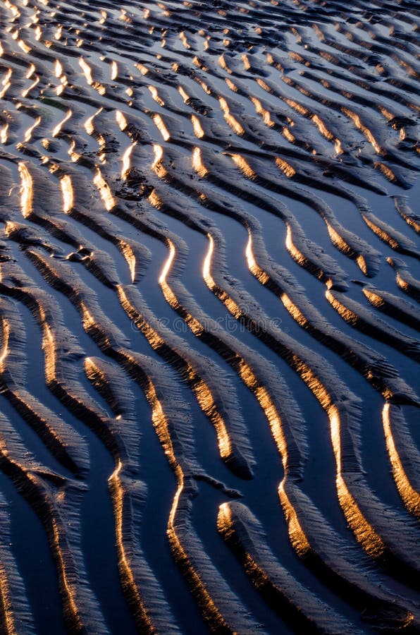 Ribbons of Light stock image. Image of light, coast, color - 40212799