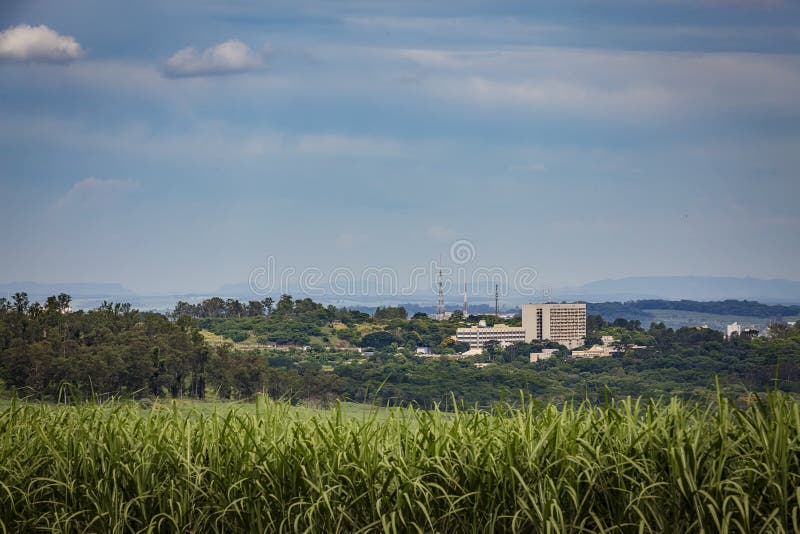 Ribeirao Preto Building View and Sugar Cane Field Stock Image - Image ...