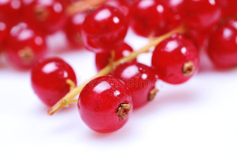 Ribes fotografia stock. Immagine di gambo, sano, mazzo - 7654702