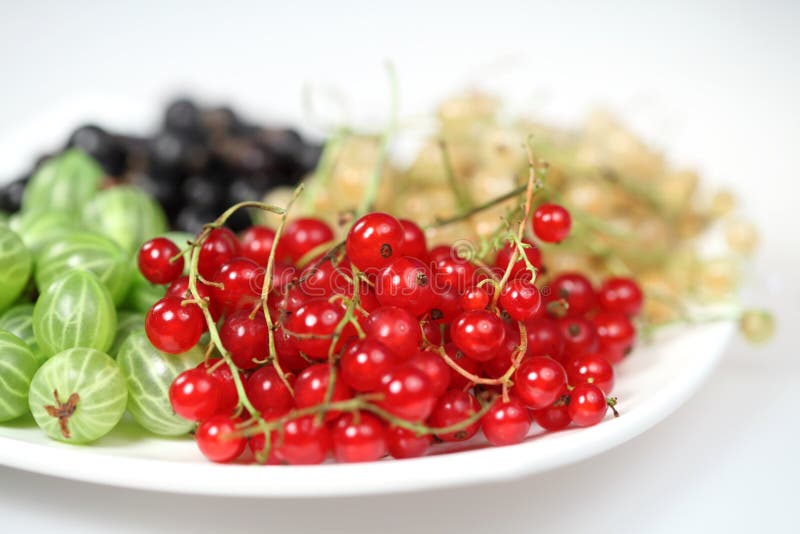 Ribes E Ribes Nero Ed Uva Spina Fotografia Stock - Immagine di piastra ...